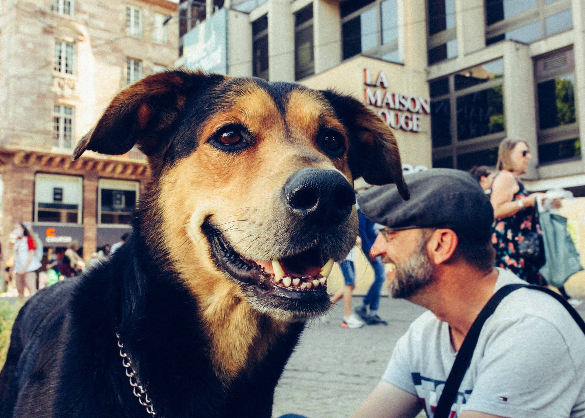 Avec les punks à chien de Strasbourg, en quête de liberté