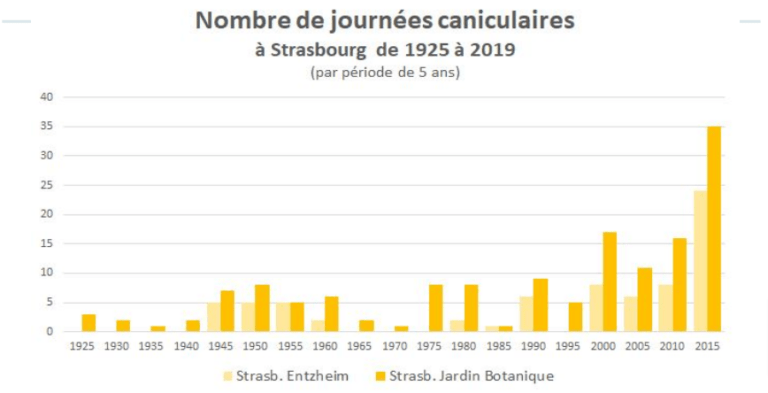 Climat : ce que 1,5 degré de réchauffement en Alsace a déjà changé
