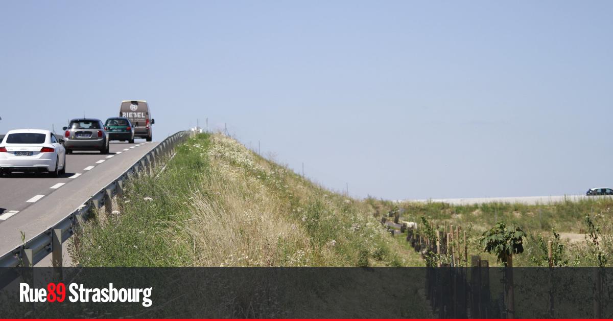 Avant l'entrée en vigueur de la ZFE, des exceptions pour les "petits ...