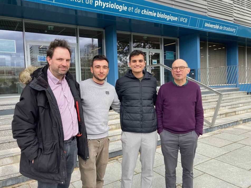 À l’Université de Strasbourg, la quête d’une équipe de chercheurs pour ...