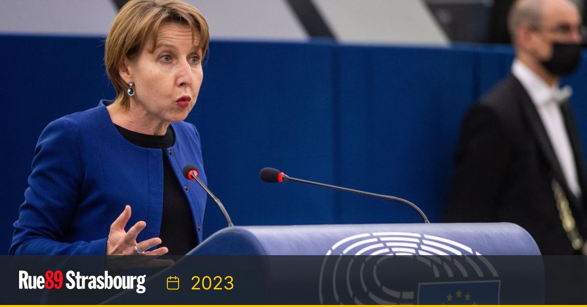 L'élue alsacienne Anne Sander, porte-voix de l'agro-industrie au ...