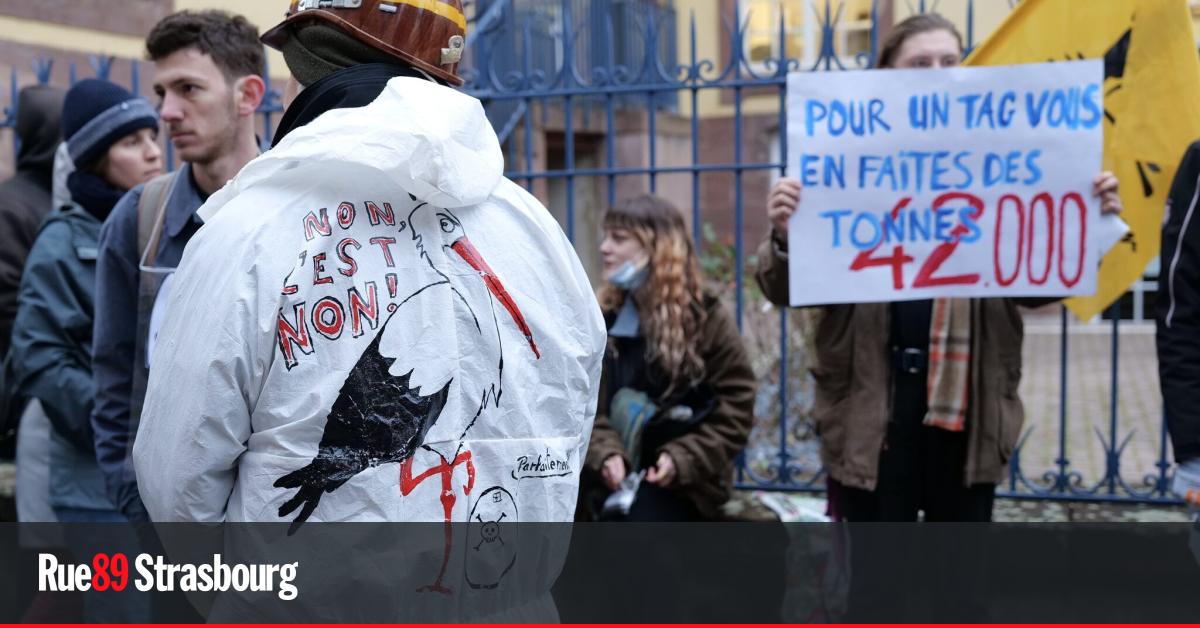 Huit militants d'Extinction Rebellion condamnés à une amende pour un tag